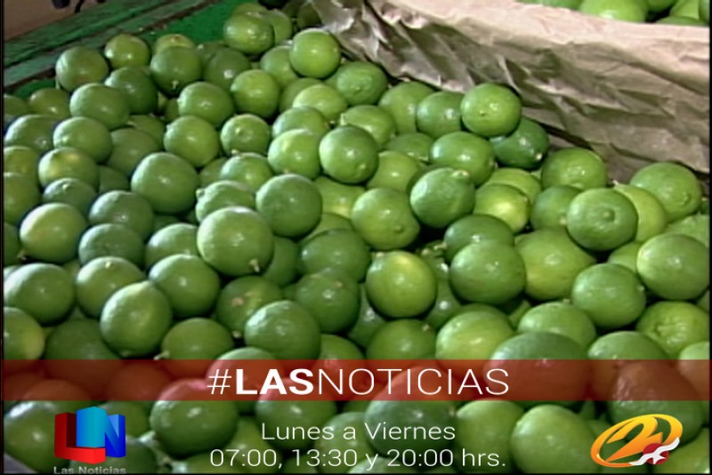 Sube el precio del limón | Sonora | Noticias | TVP | TVPACIFICO.MX