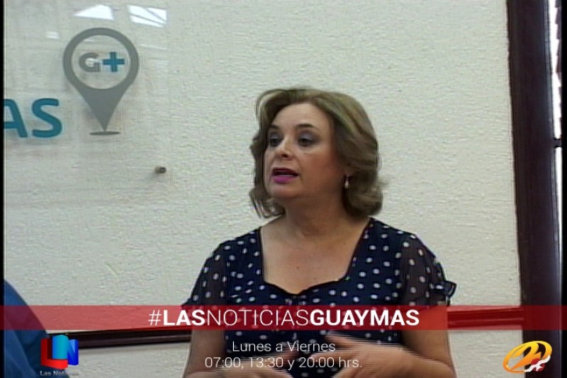 Sin picaduras de insectos en Guaymas | Salud | Noticias | TVP ...