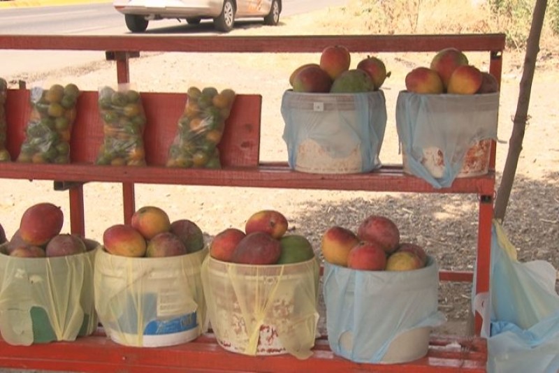 Lichis, Ciruelas y mangos, fruta regional que llega a las mesas de los ...
